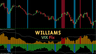 Best Williams VIX Fix Bottoms and Tops Indicator - ninZa.co